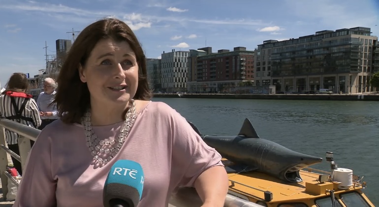 Legal Protection For Basking Sharks Hugely Welcome - Social Democrats Legal Protection For Basking Sharks Hugely Welcome - Social Democrats