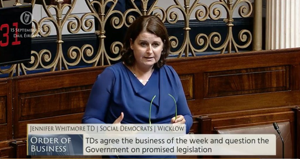 Jennifer Whitmore TD hopeful that assessment of needs model will be ...